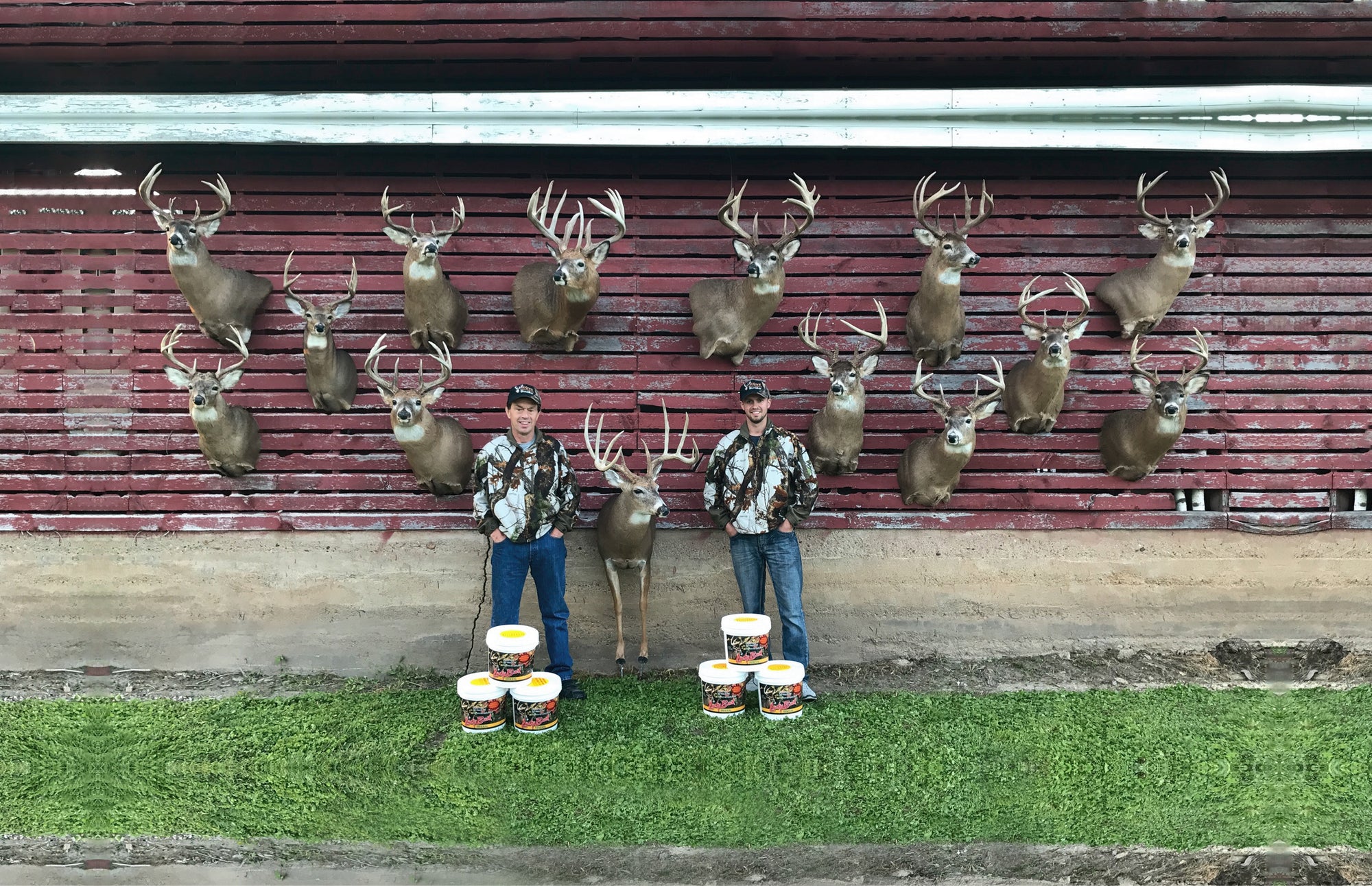 Whitetail Deer Mineral Supplement for Antler Growth Lucky Buck Mineral ...