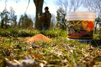 Whitetail Deer Mineral Supplement for Antler Growth Lucky Buck Mineral ...