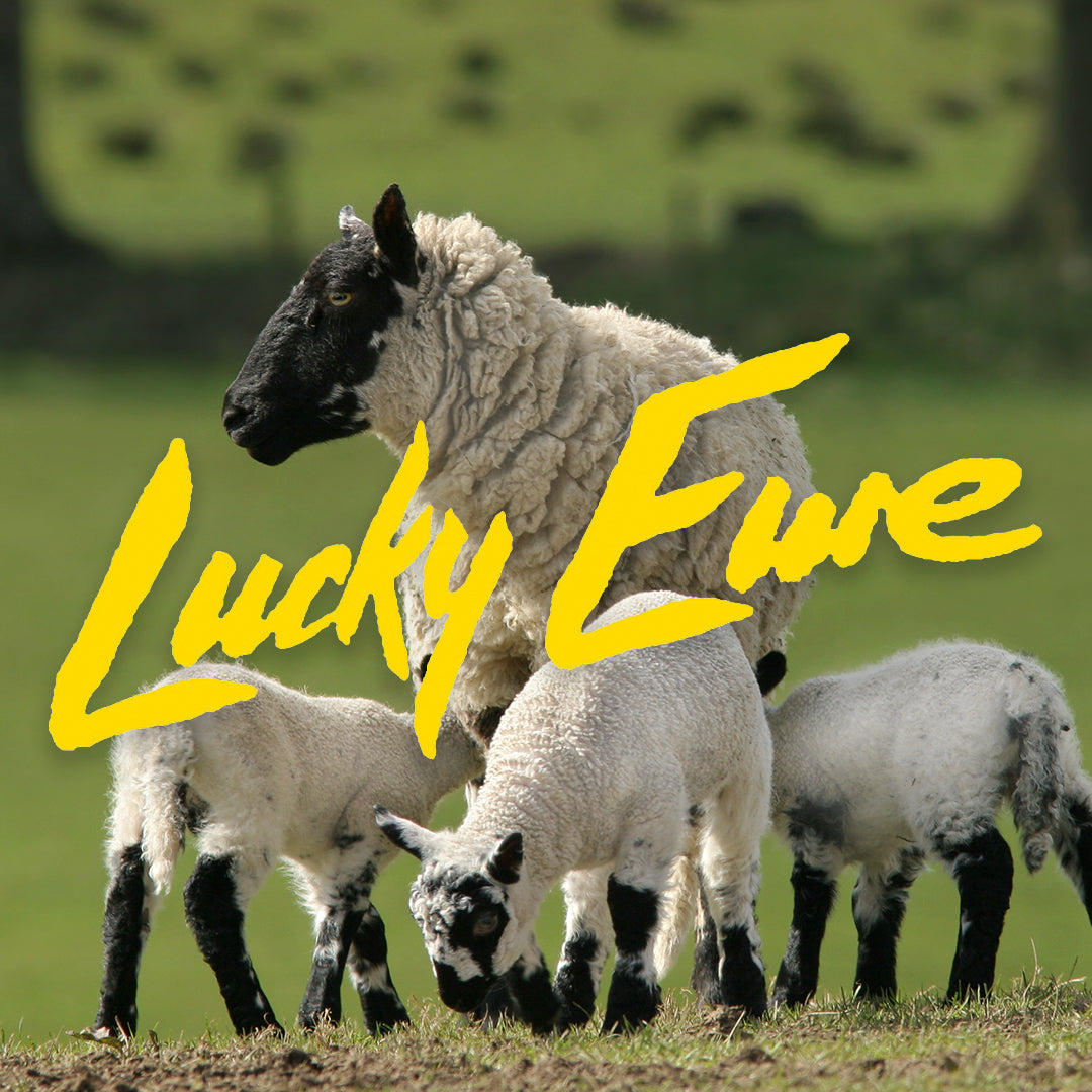 Whitetail Deer Mineral Supplement for Antler Growth Lucky Buck Mineral