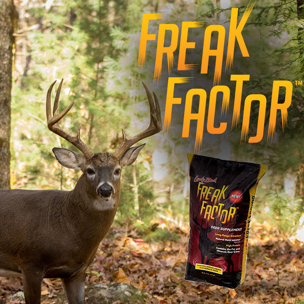 Whitetail Deer Mineral Supplement for Antler Growth Lucky Buck Mineral