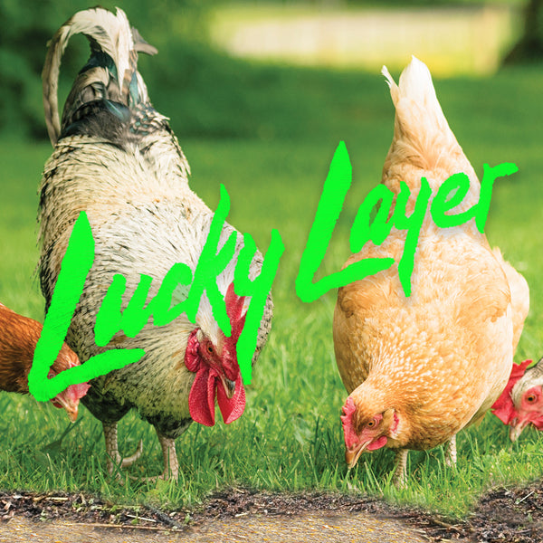 Whitetail Deer Mineral Supplement for Antler Growth Lucky Buck Mineral