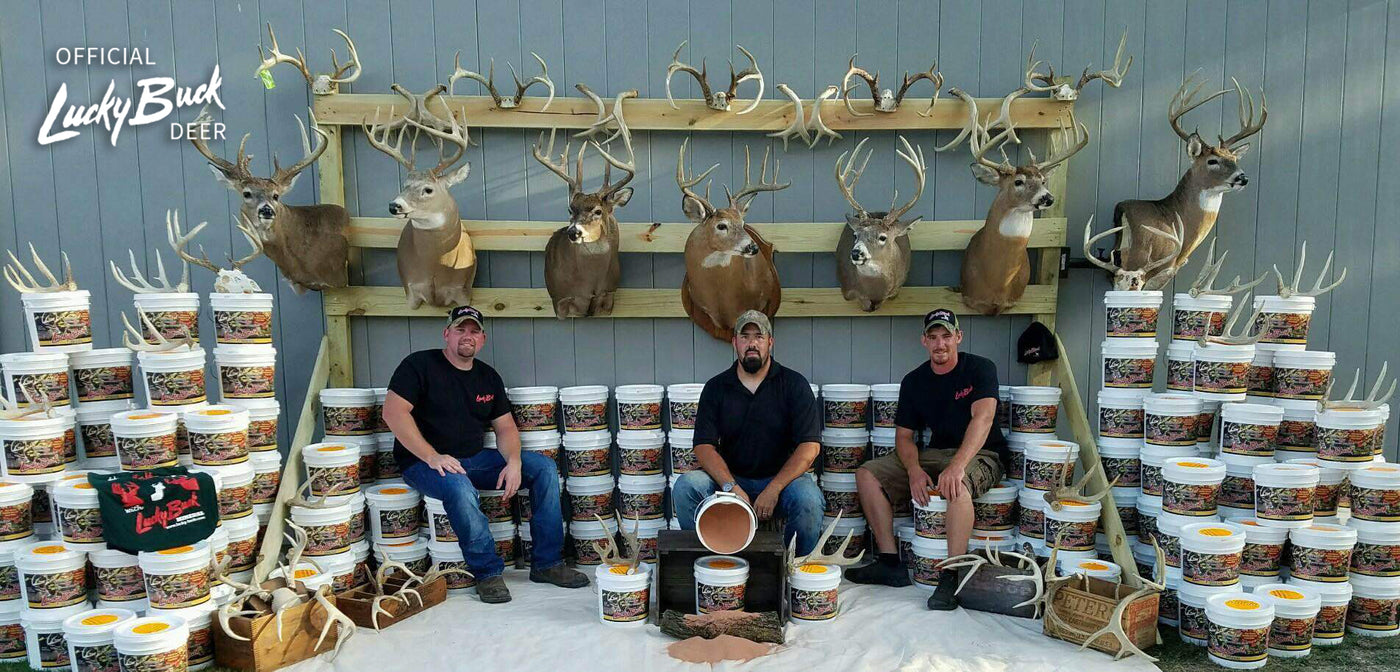 Whitetail Deer Mineral Supplement for Antler Growth Lucky Buck Mineral